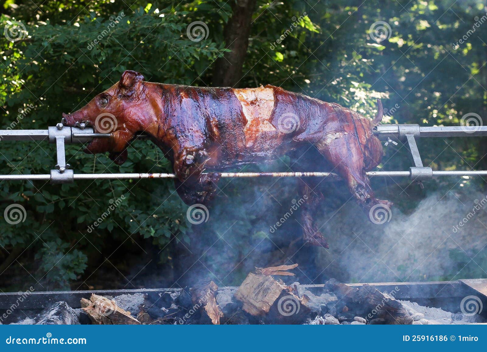 Pig Roasted on Fire Outside Stock Photo - Image of tasty, meat: 25916186