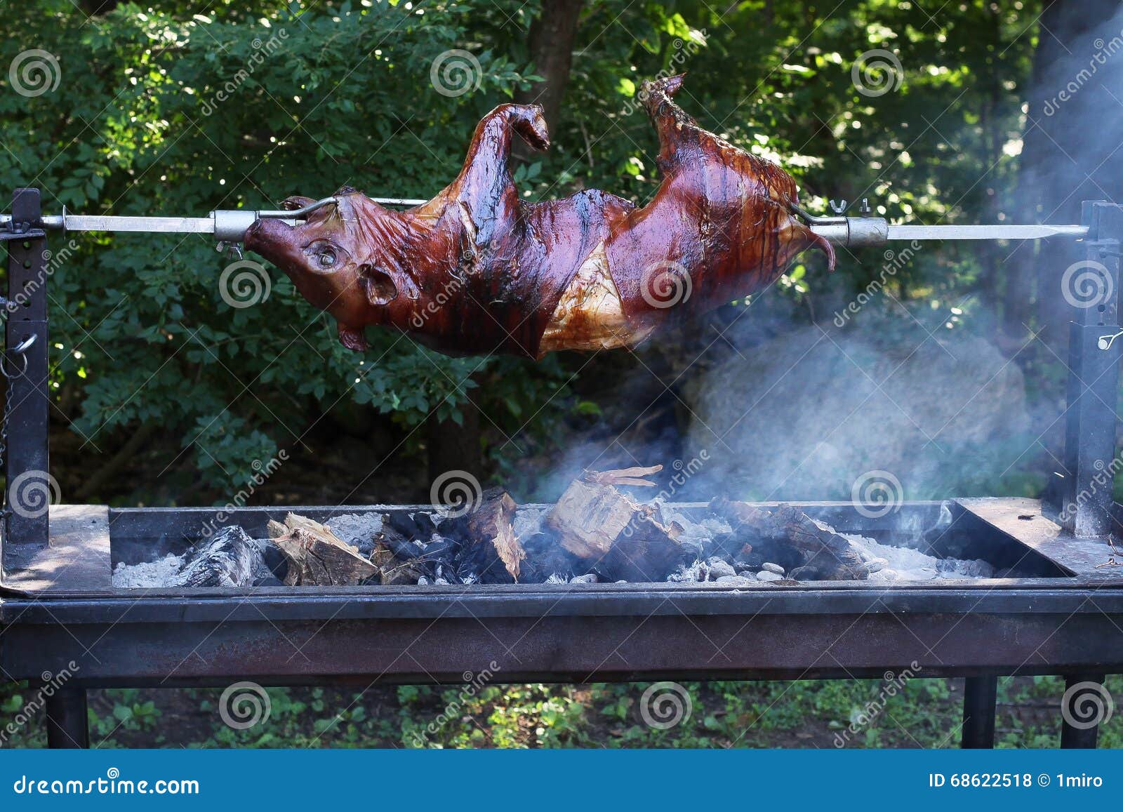 Pig Roasted on Fire Outside Stock Photo - Image of pork, grill: 68622518