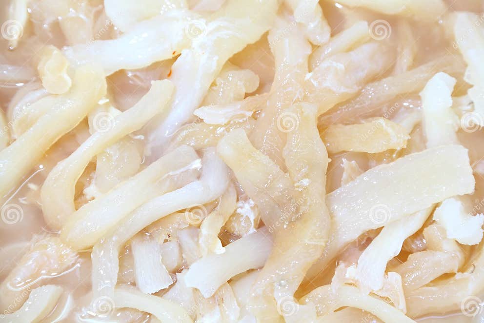 Pig S Tendon Boiled and Ready for Make Another Foo Stock Image - Image ...