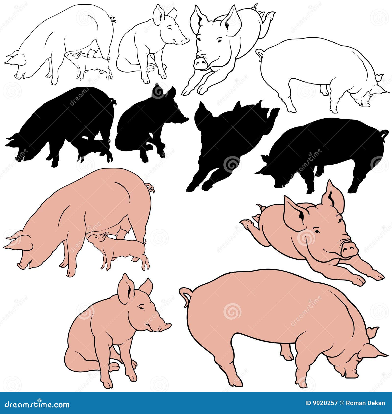 Pig Set stock vector. Illustration of drawn, mammal, clip - 9920257