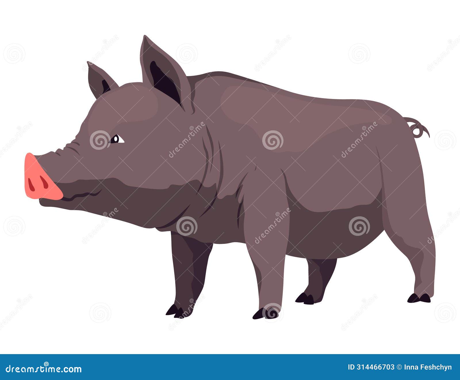 Pig Set Flat Cartoon Isolated on White Background. Black Pig Vector ...