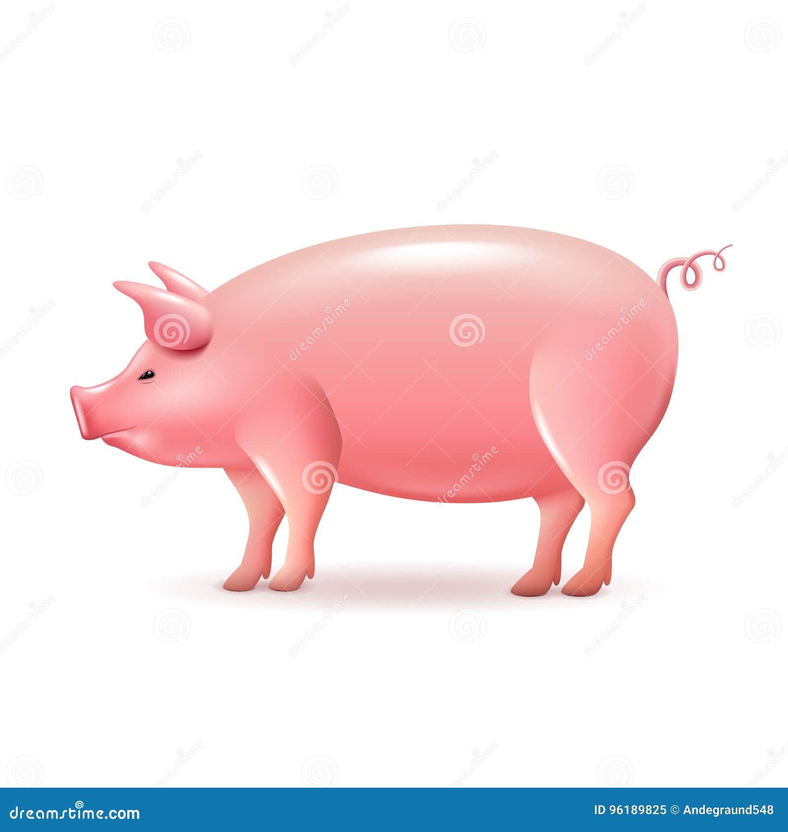 Cartoon Pig Side View