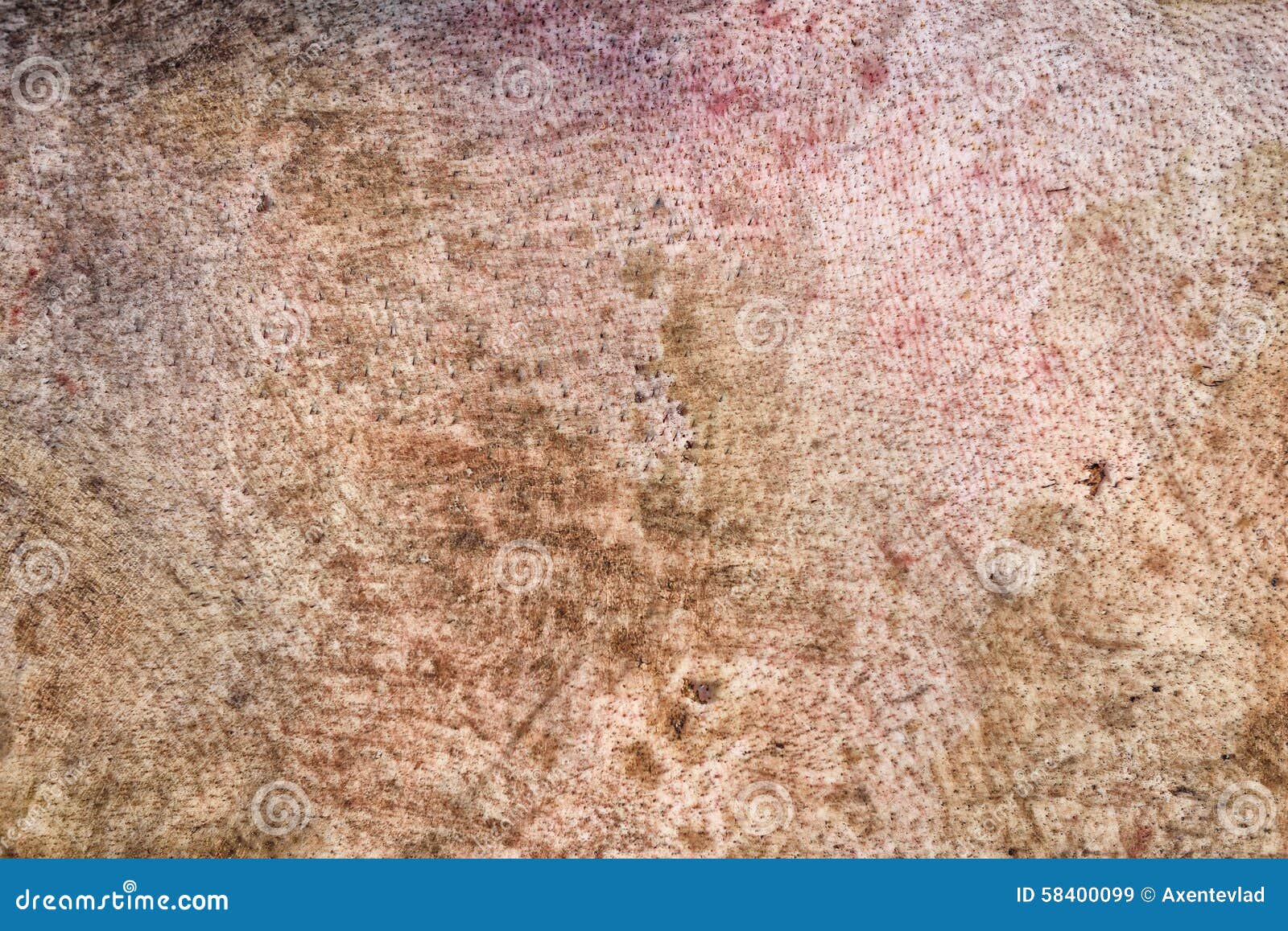 Pig Skin Background. Texture Of Skin Roasted Pig Royalty-Free Stock ...