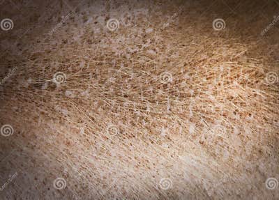 Pig skin texture stock image. Image of skin, boar, close - 25299497
