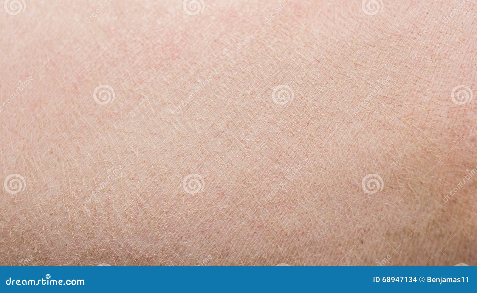 Pig skin stock photo. Image of pork, pattern, animal - 68947134