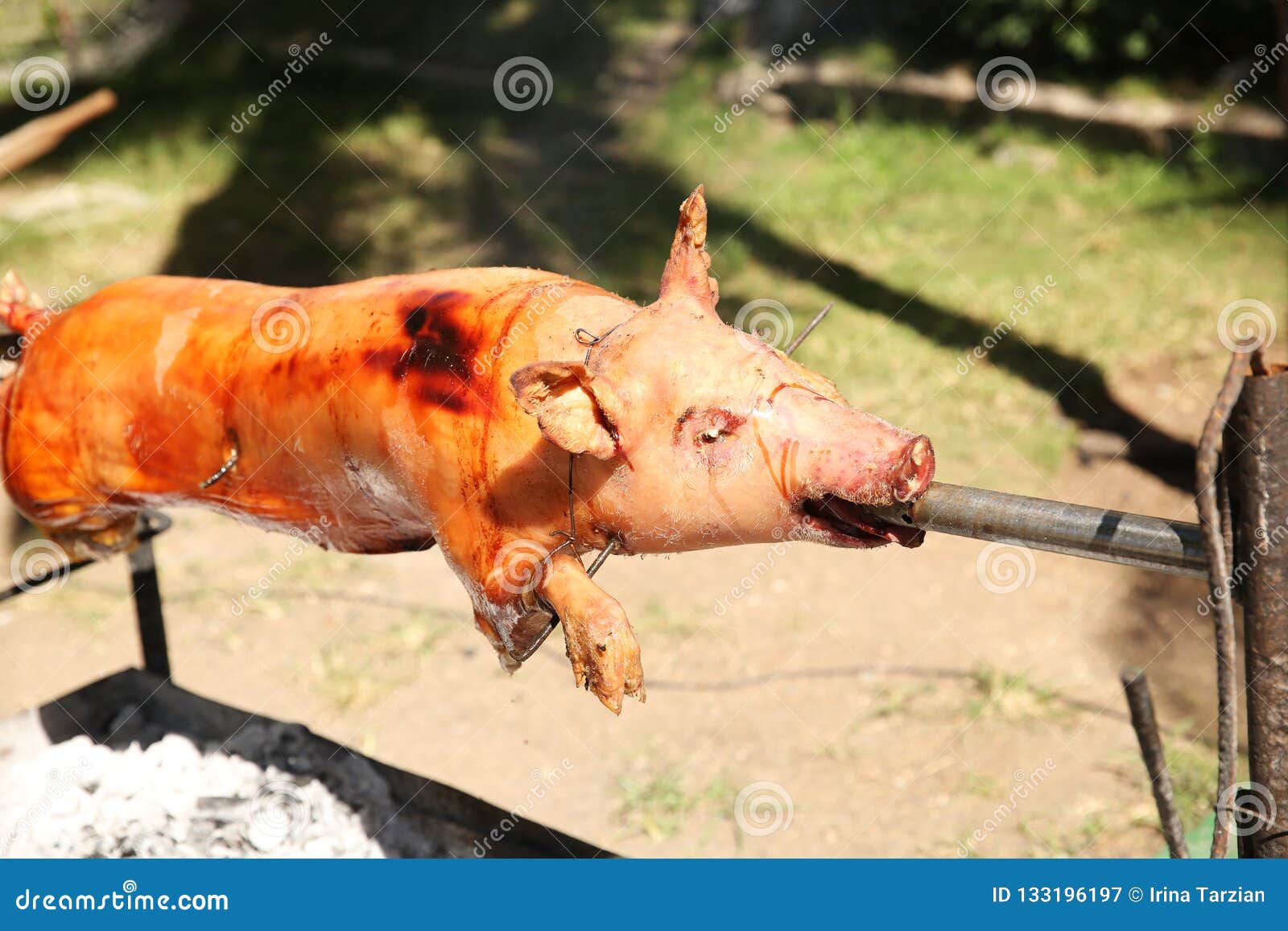 Pig on a Spit on the Grill, Roast Pork in the Process. Stock Image ...