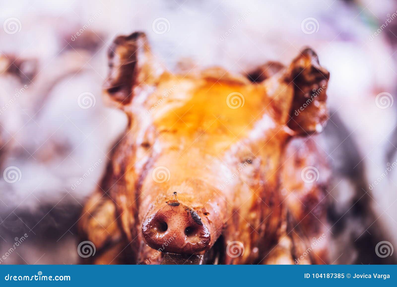 Pig on a spit stock image. Image of celebration, outdoors - 104187385