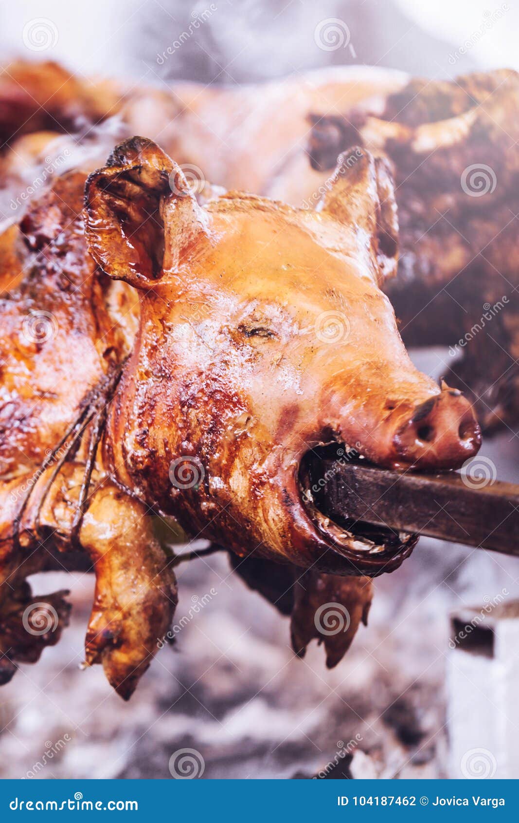 Pig on a spit stock photo. Image of farm, grilled, festival - 104187462