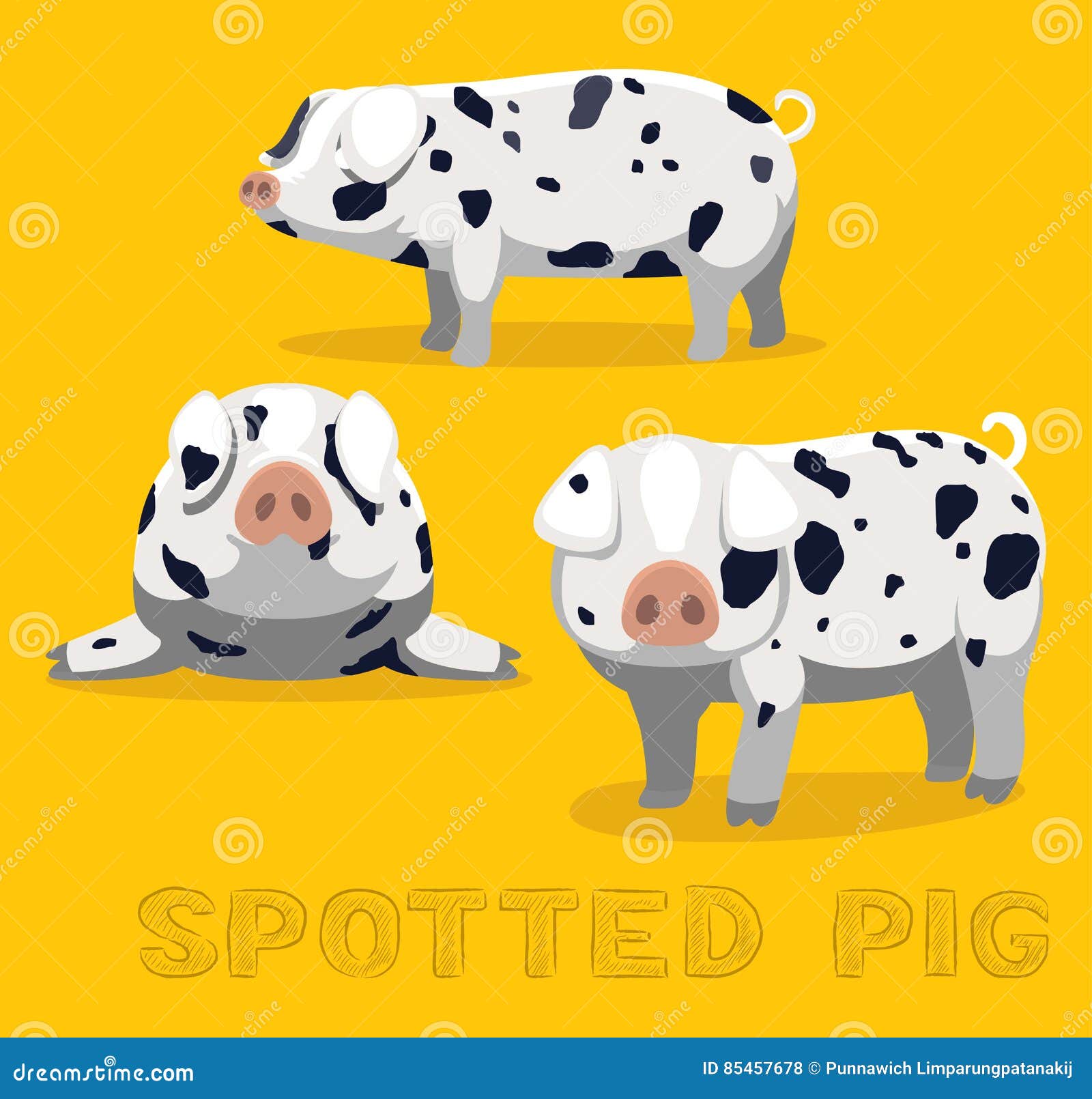 Pig Spotted Cartoon Vector Illustration Stock Vector - Illustration of ...
