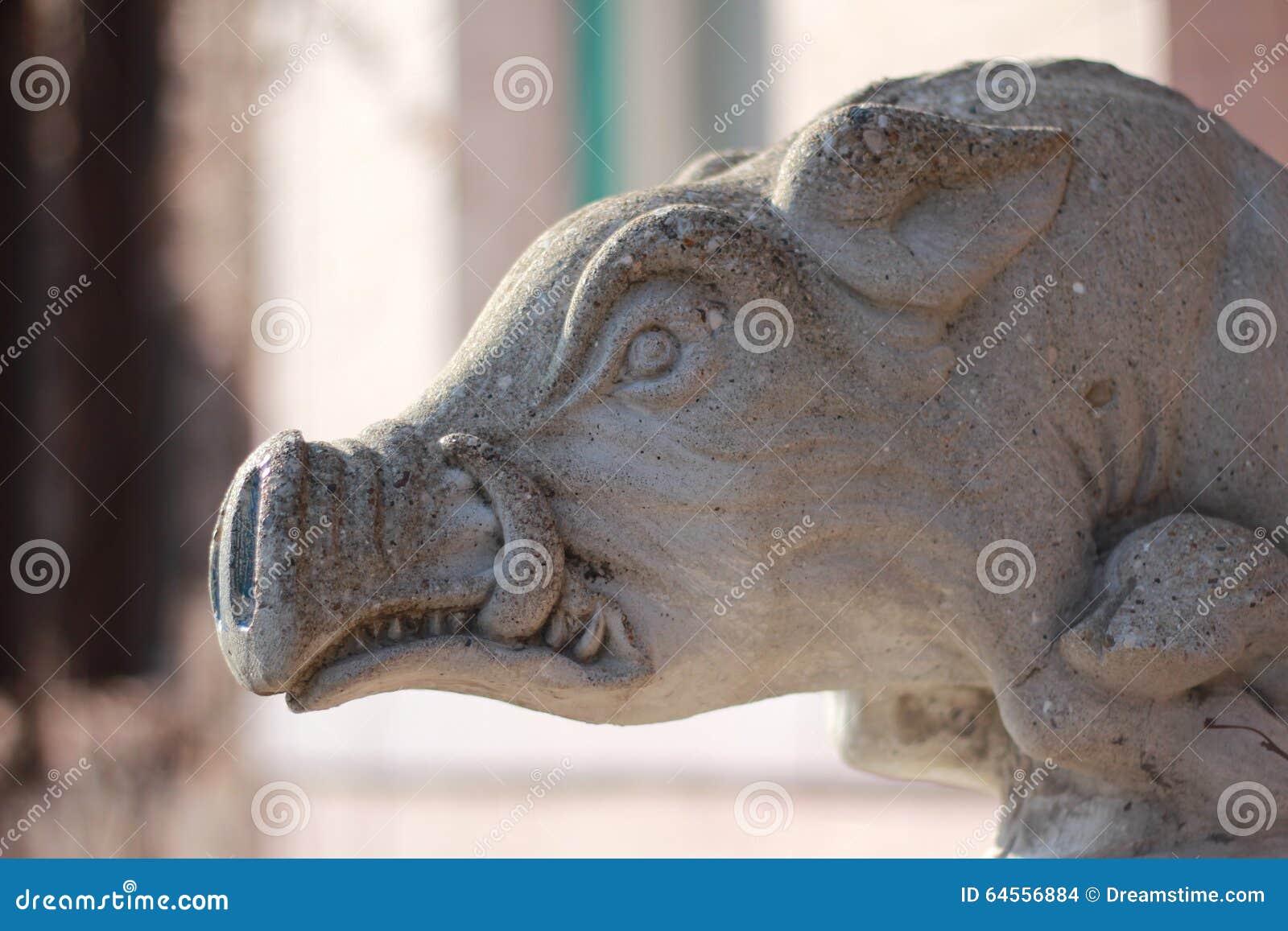 Pig stone gargoyle stock photo. Image of religion, grotesque - 64556884