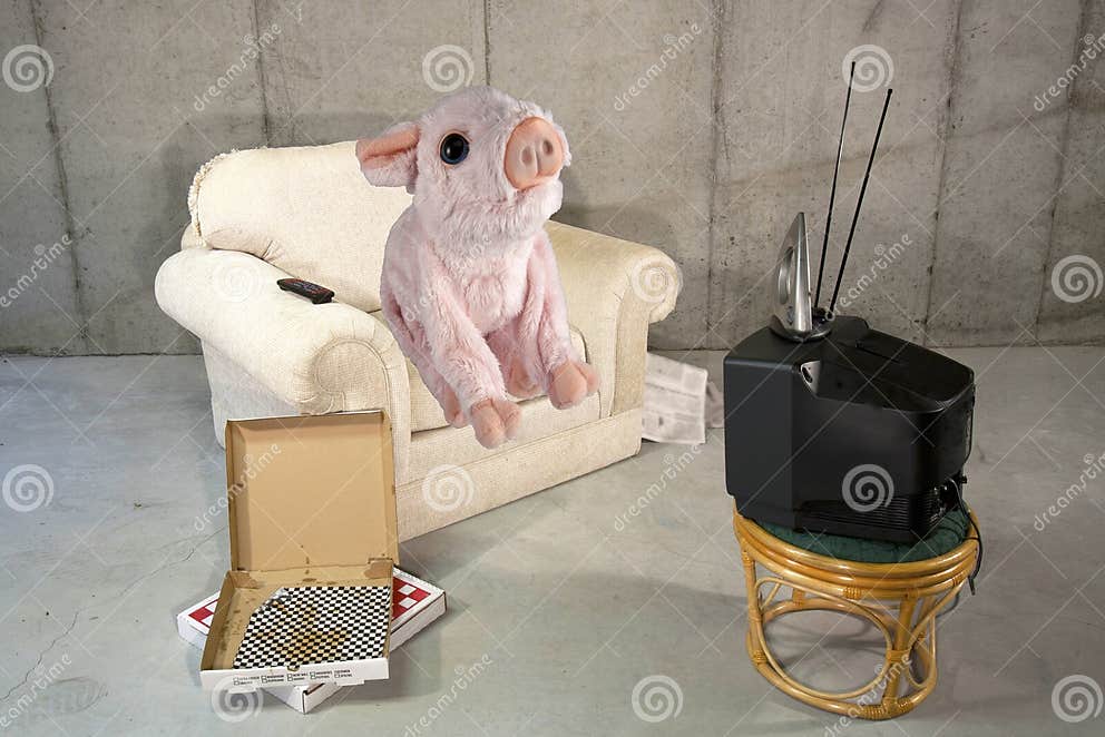 Pig Sty stock image. Image of slob, slovenly, sloven - 24688889