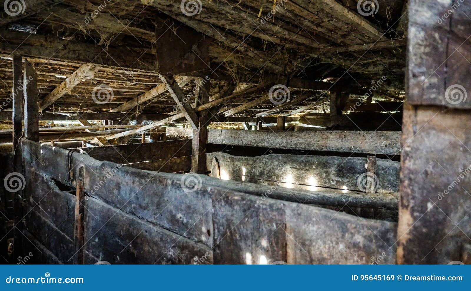 Pig sty of an old ranch stock image. Image of barn, wood - 95645169