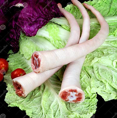 Pig tail stock photo. Image of dinner, health, leaves - 14553690