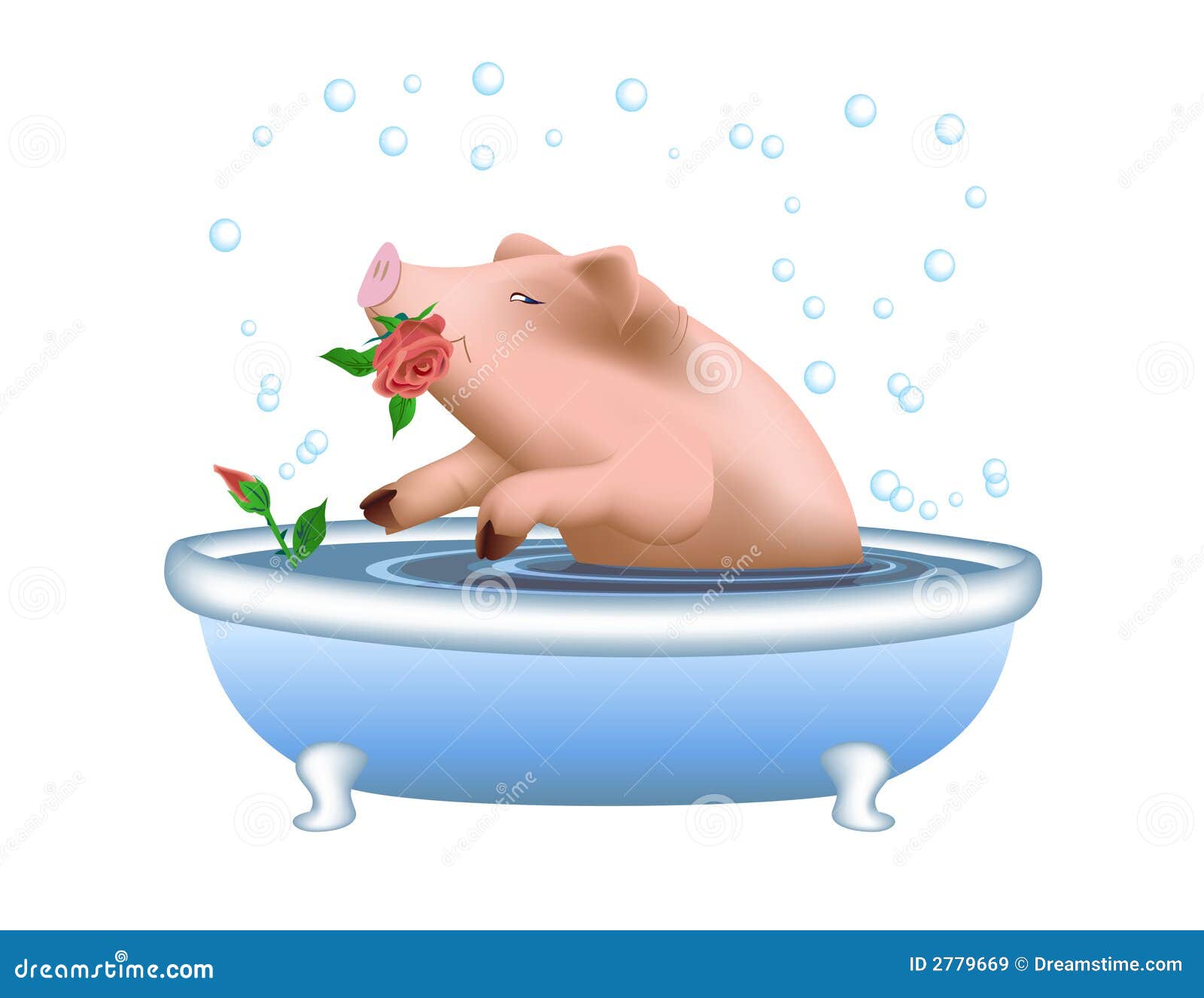 Pig Taking Bath stock illustration. Illustration of farm - 2779669