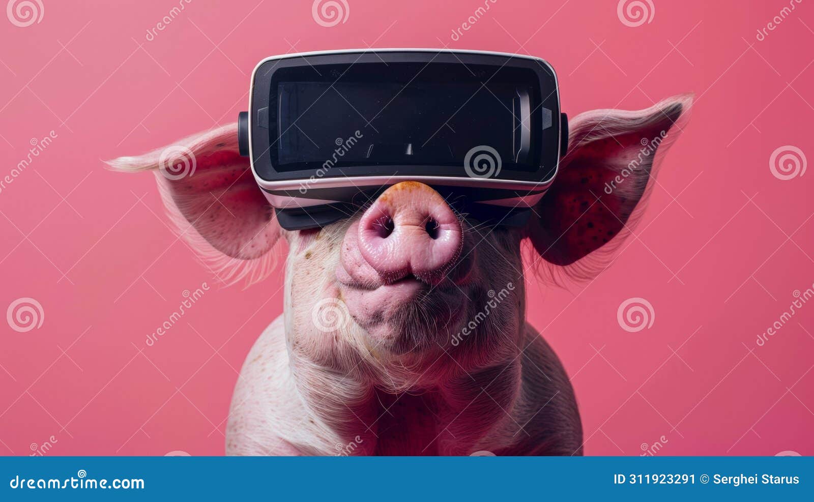 A Pig with a Vr Headset on Its Head Looking at the Camera, AI Stock ...