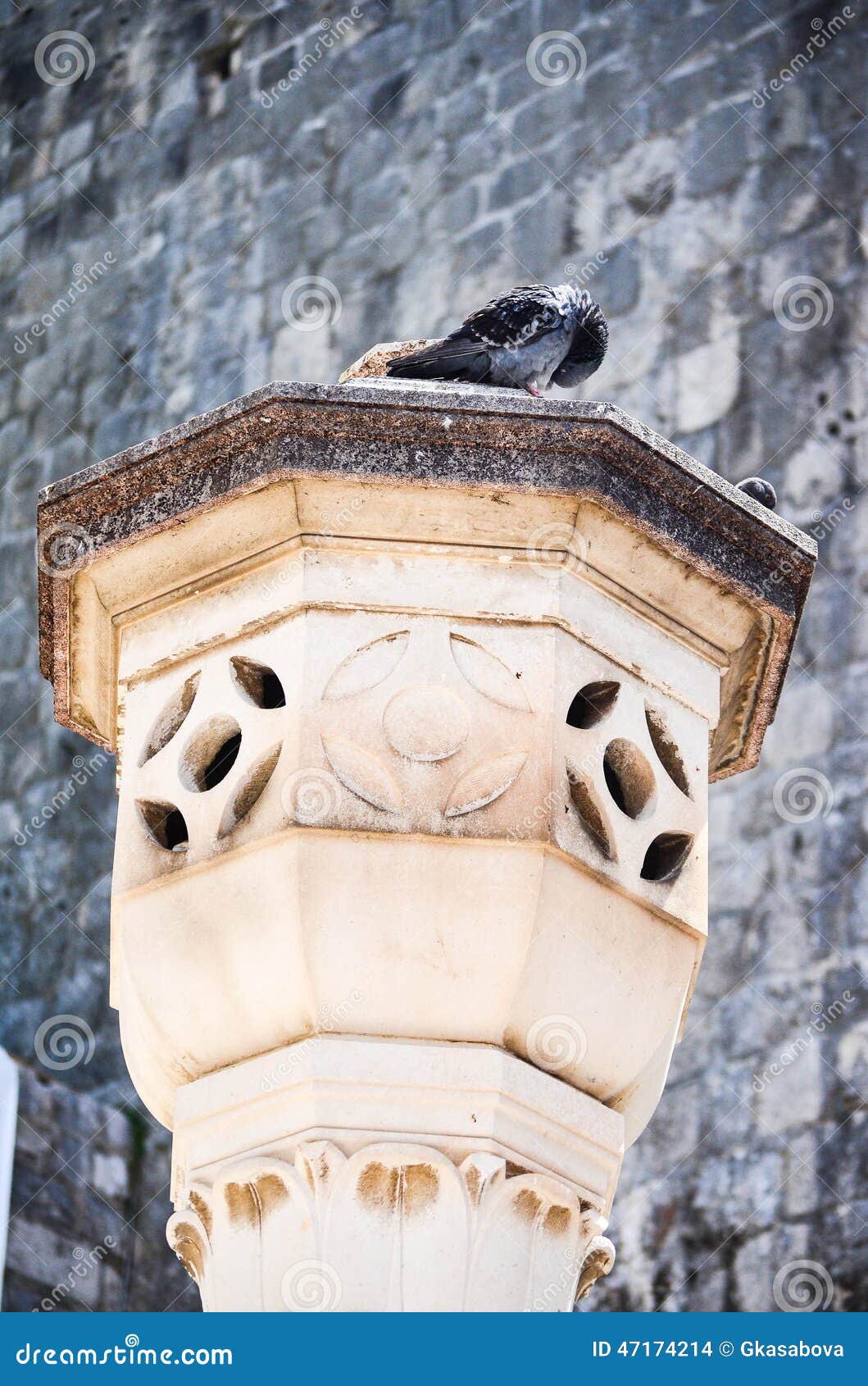 Pigeon on column stock photo. Image of hotel, dubvonik - 47174214