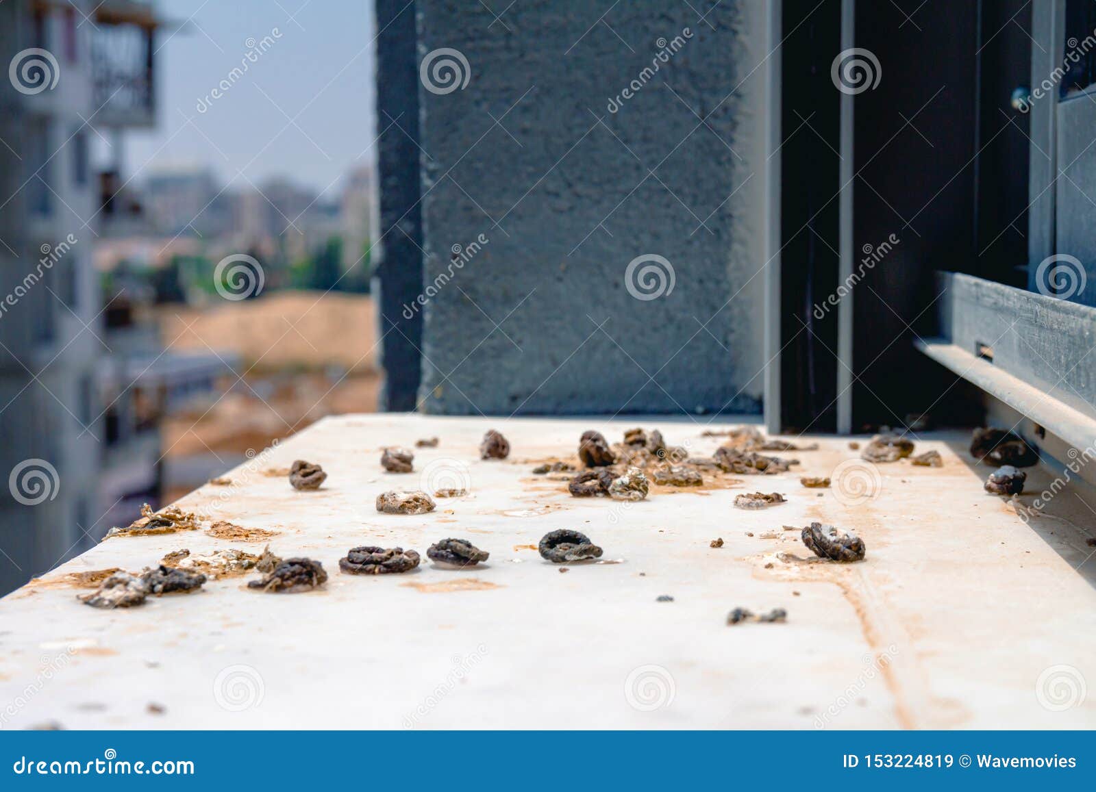 Pigeon Droppings - Dirty Pigeon Bird Poop Concept Stock Photo ...