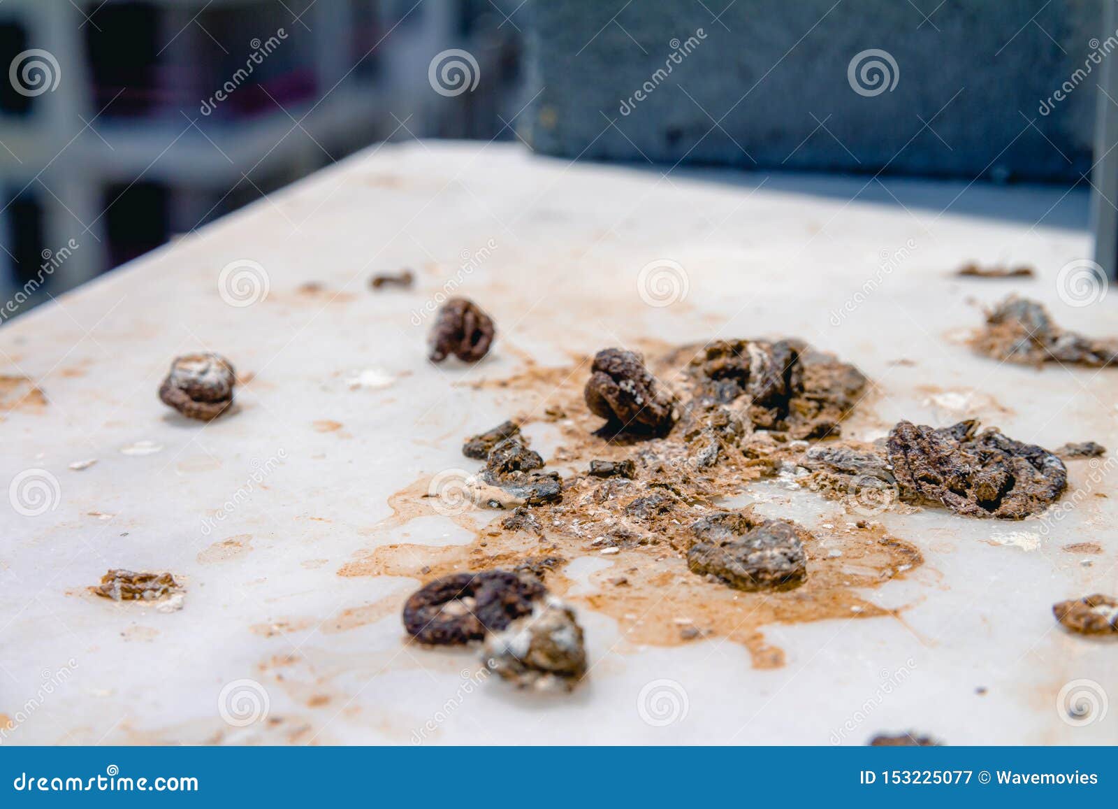Pigeon Droppings - Dirty Pigeon Bird Poop Concept Stock Photo ...
