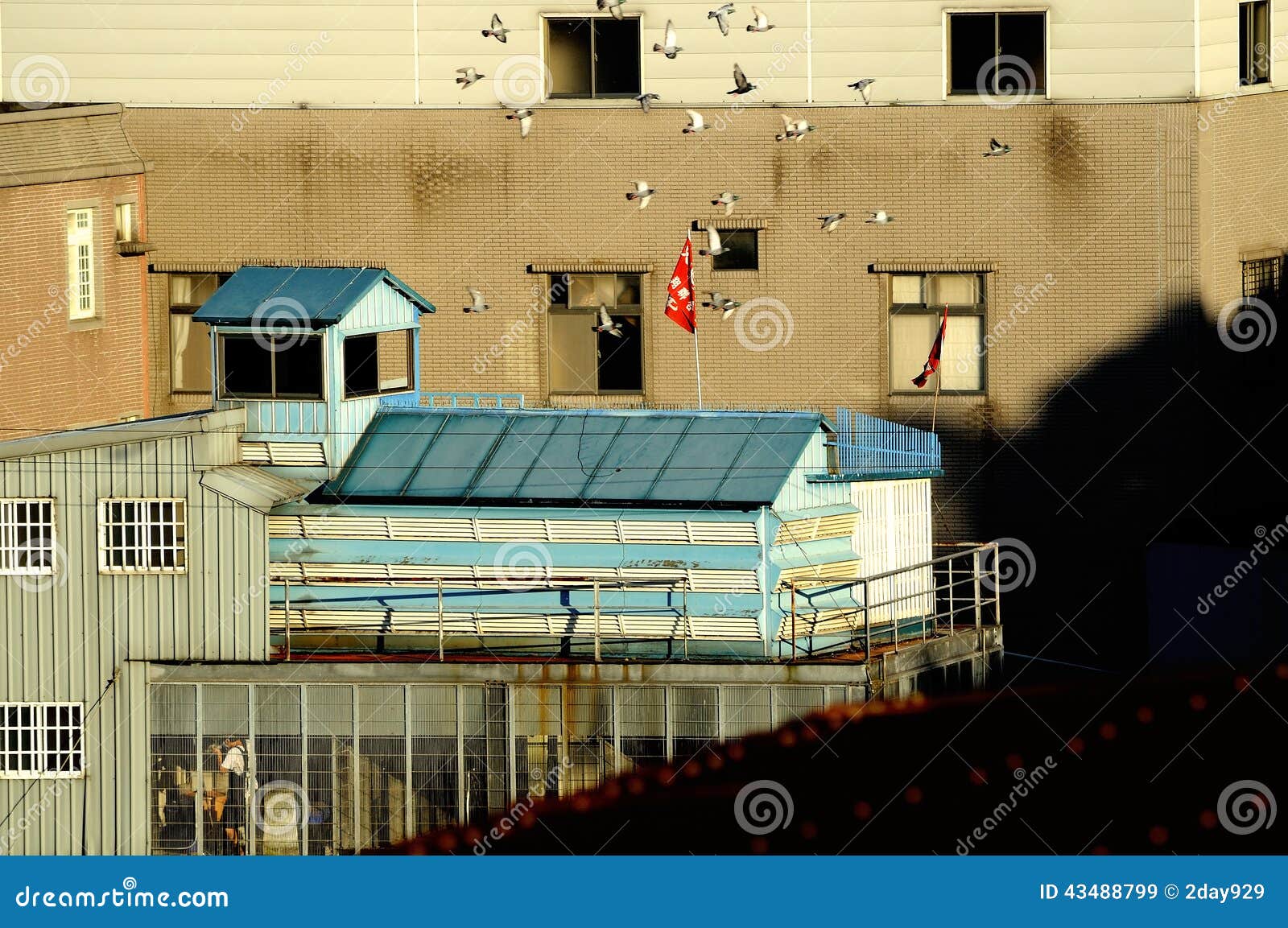 Pigeon House in Taiwan,Asia, Design Architecture Editorial Stock Image ...