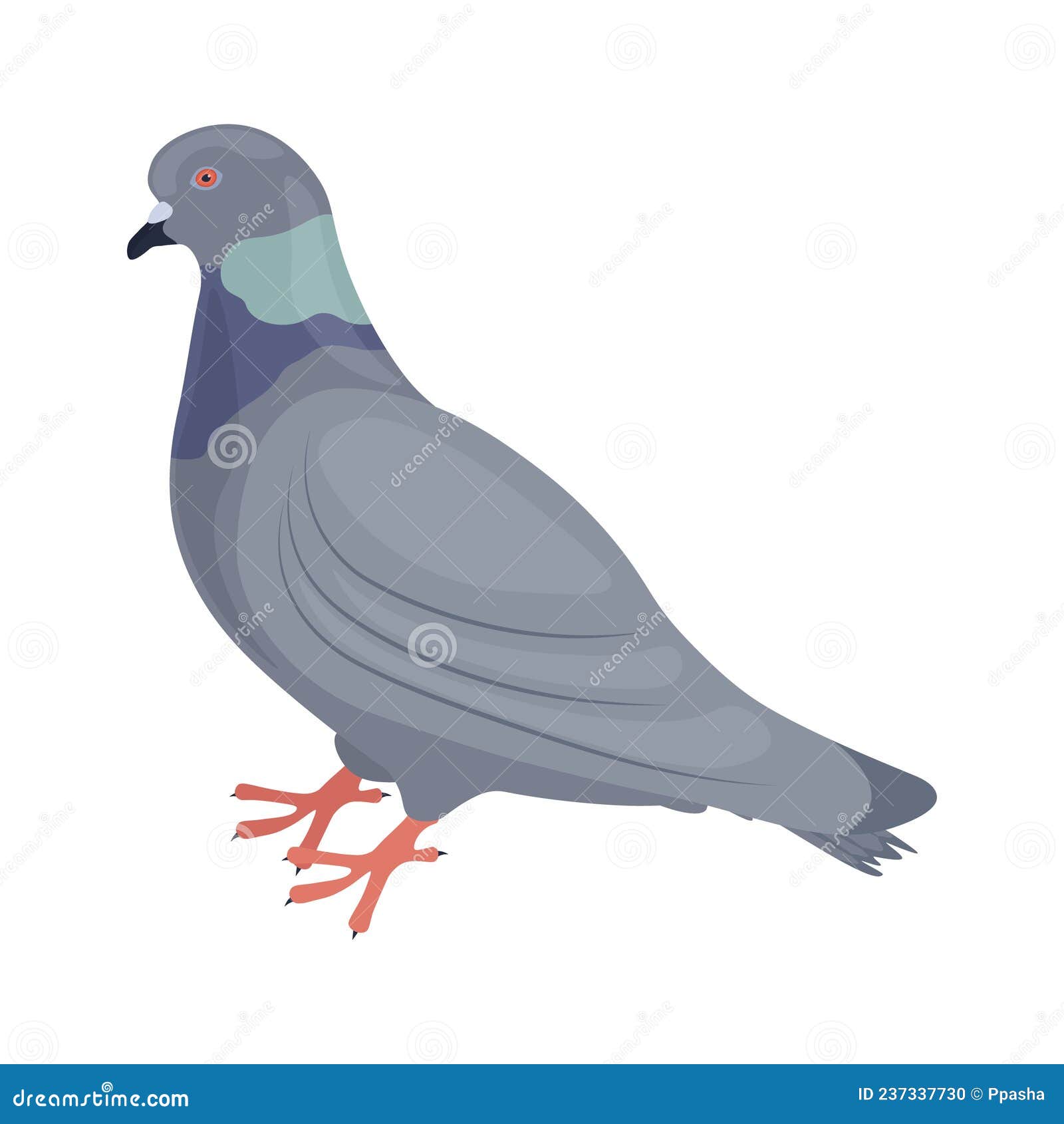 Pigeon Jpg Image With Svg Vector Cut File For Cricut And Silhouette ...