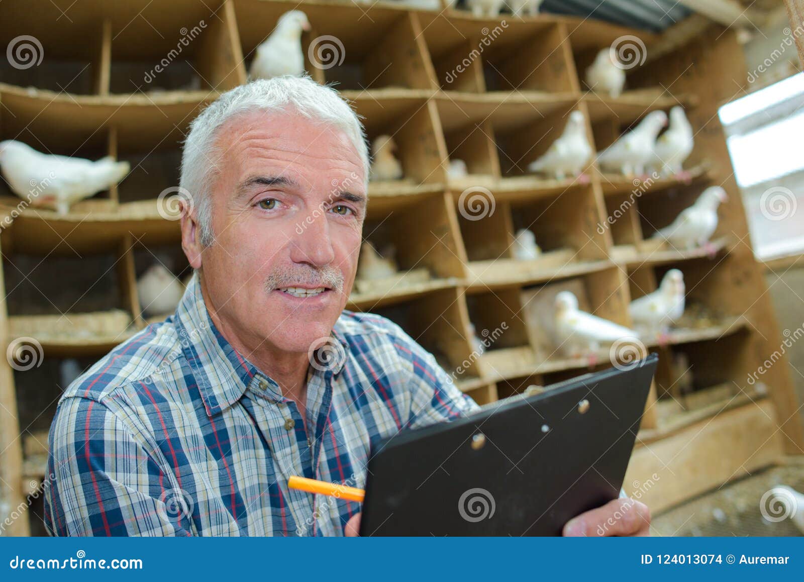 Pigeon Keeper Taking Record Stock Photo - Image of sale, enthusiast ...