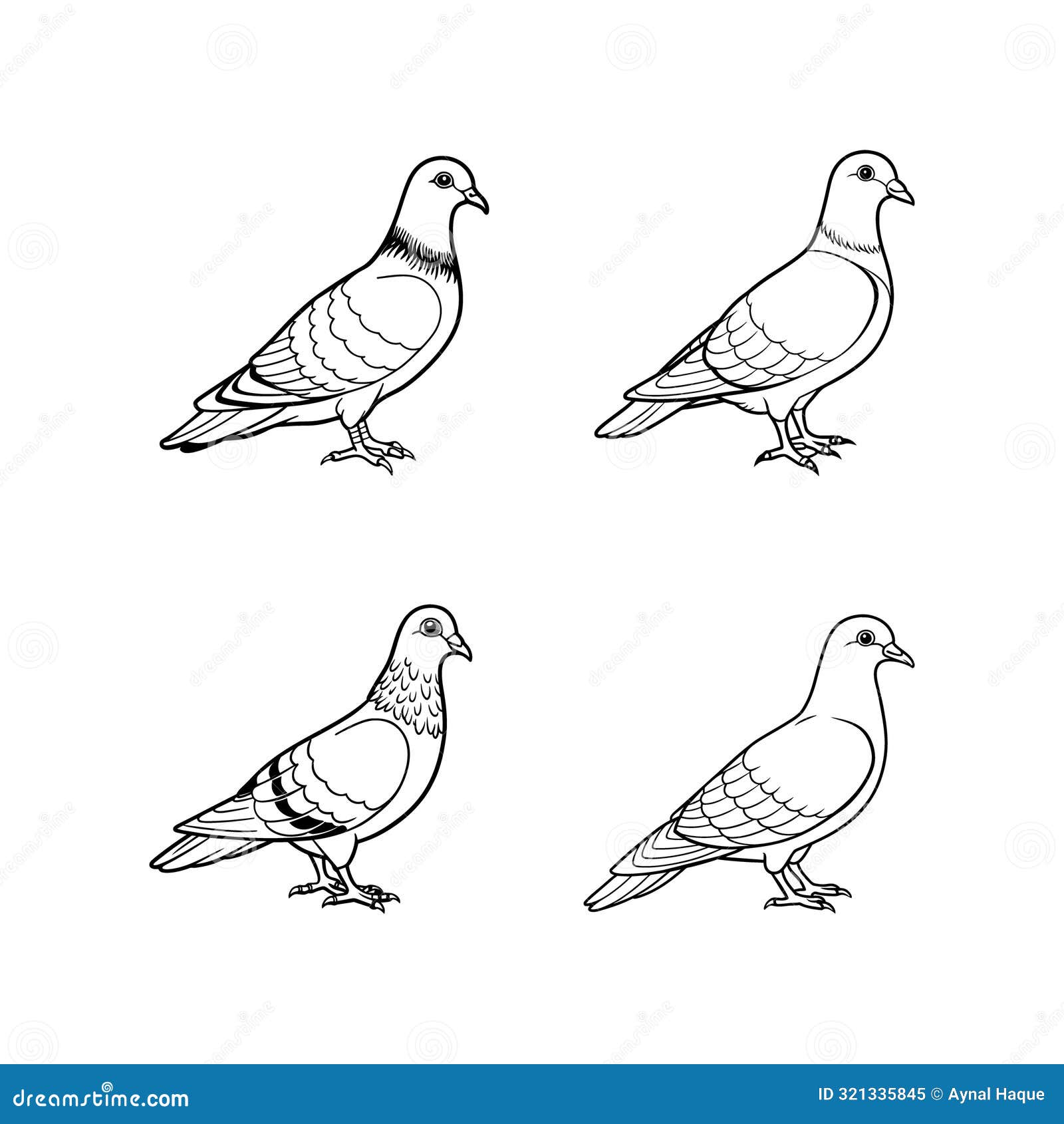 Pigeon Line Art Illustration Stock Vector - Illustration of dove, wild ...