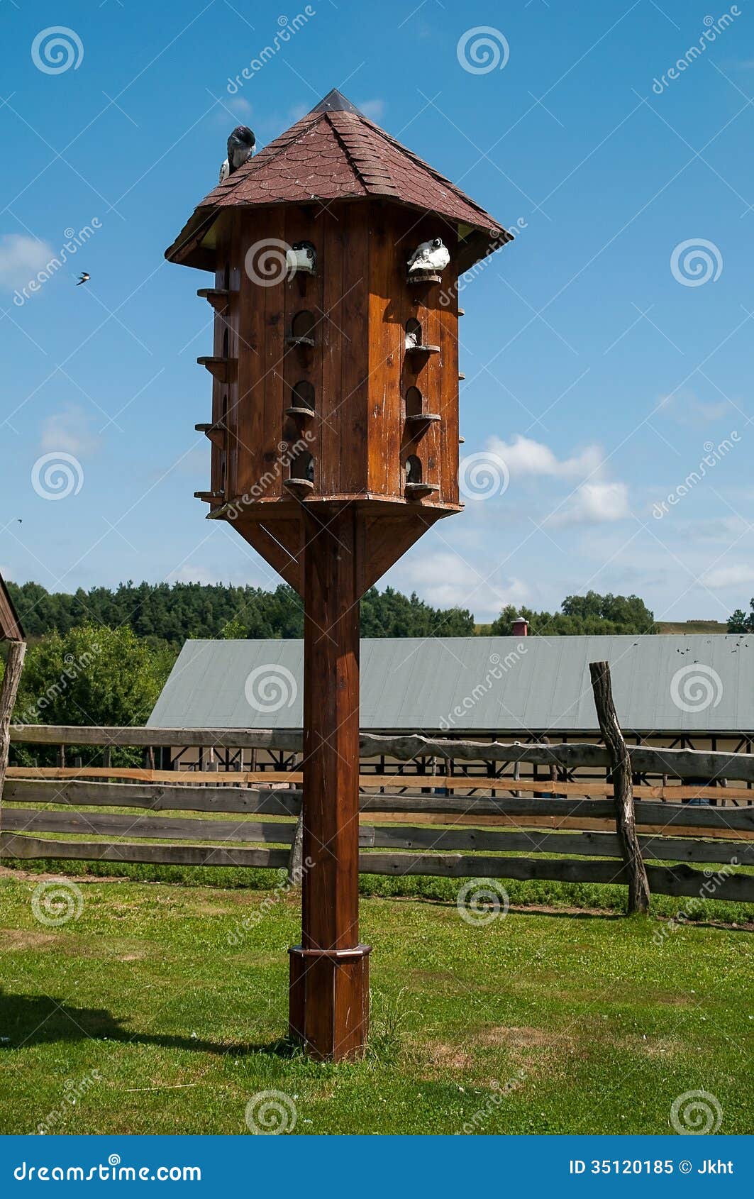 Pigeon loft stock image. Image of birds, white, green - 35120185