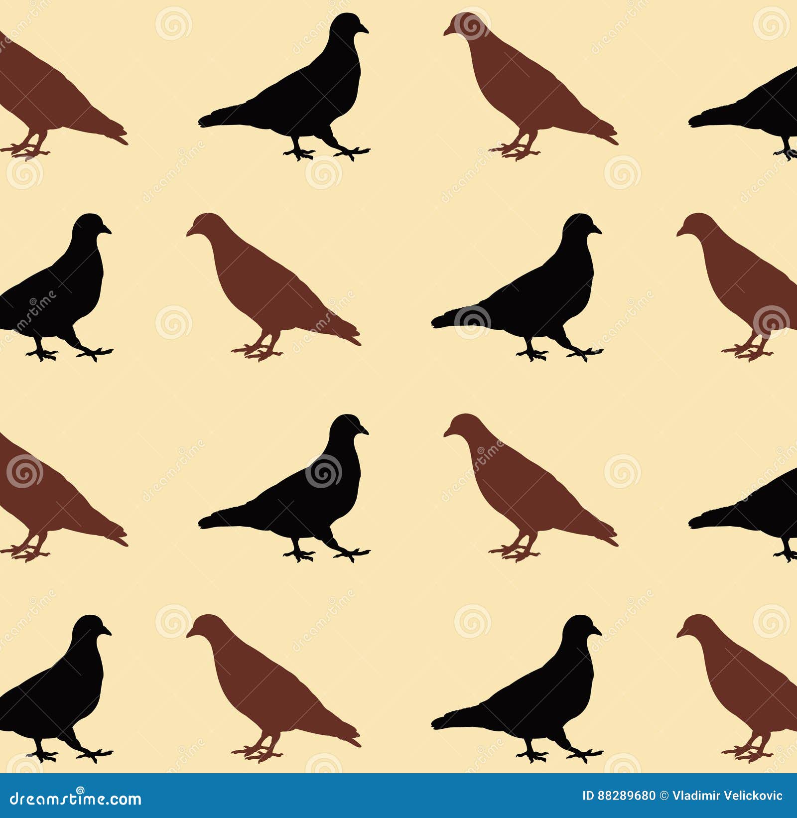 Pigeon pattern stock vector. Illustration of pets, pigeon - 88289680