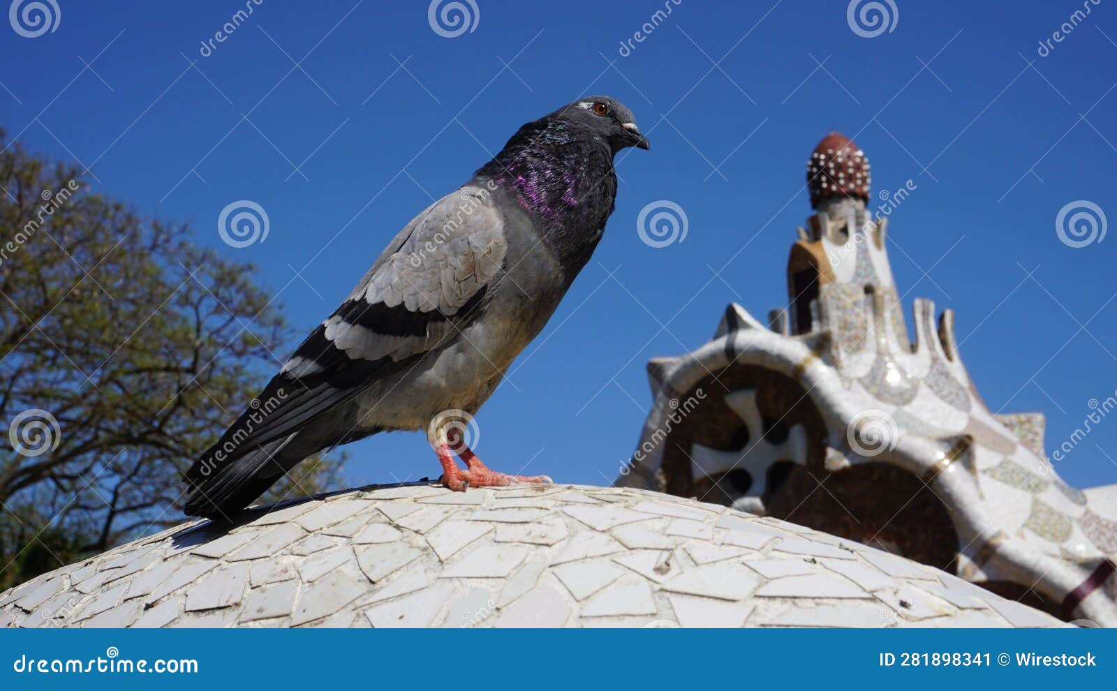 Pigeon Perched on a Stone Structure Stock Image - Image of leafy, avian ...