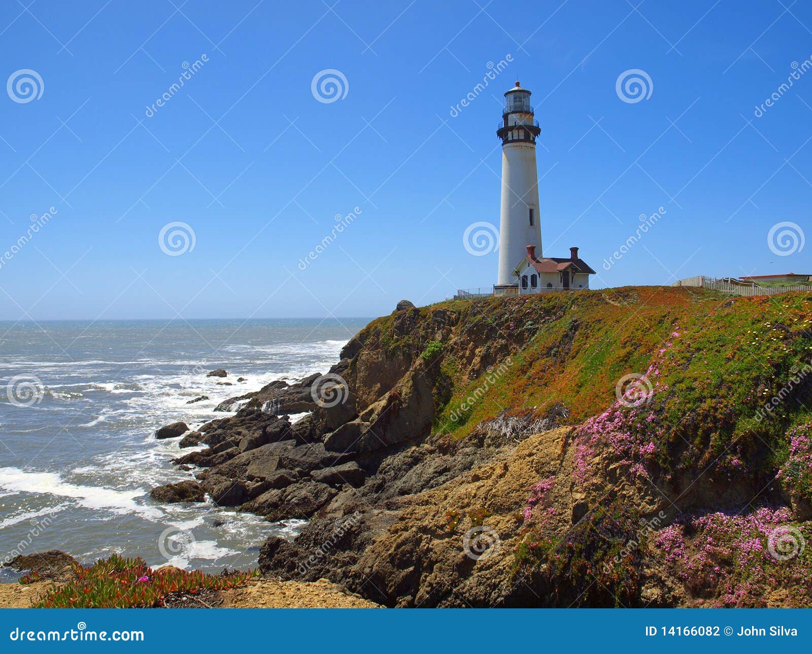 Pigeon Point Lighthouse stock photo. Image of pacific - 14166082
