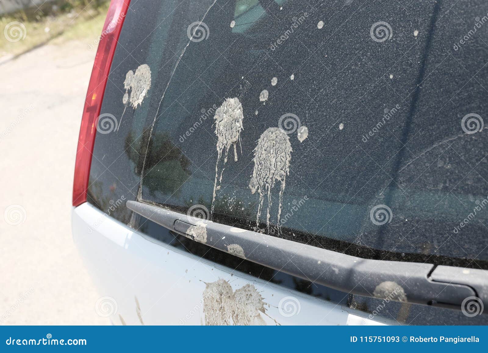 Pigeon poop on the car stock image. Image of poop, texture - 115751093