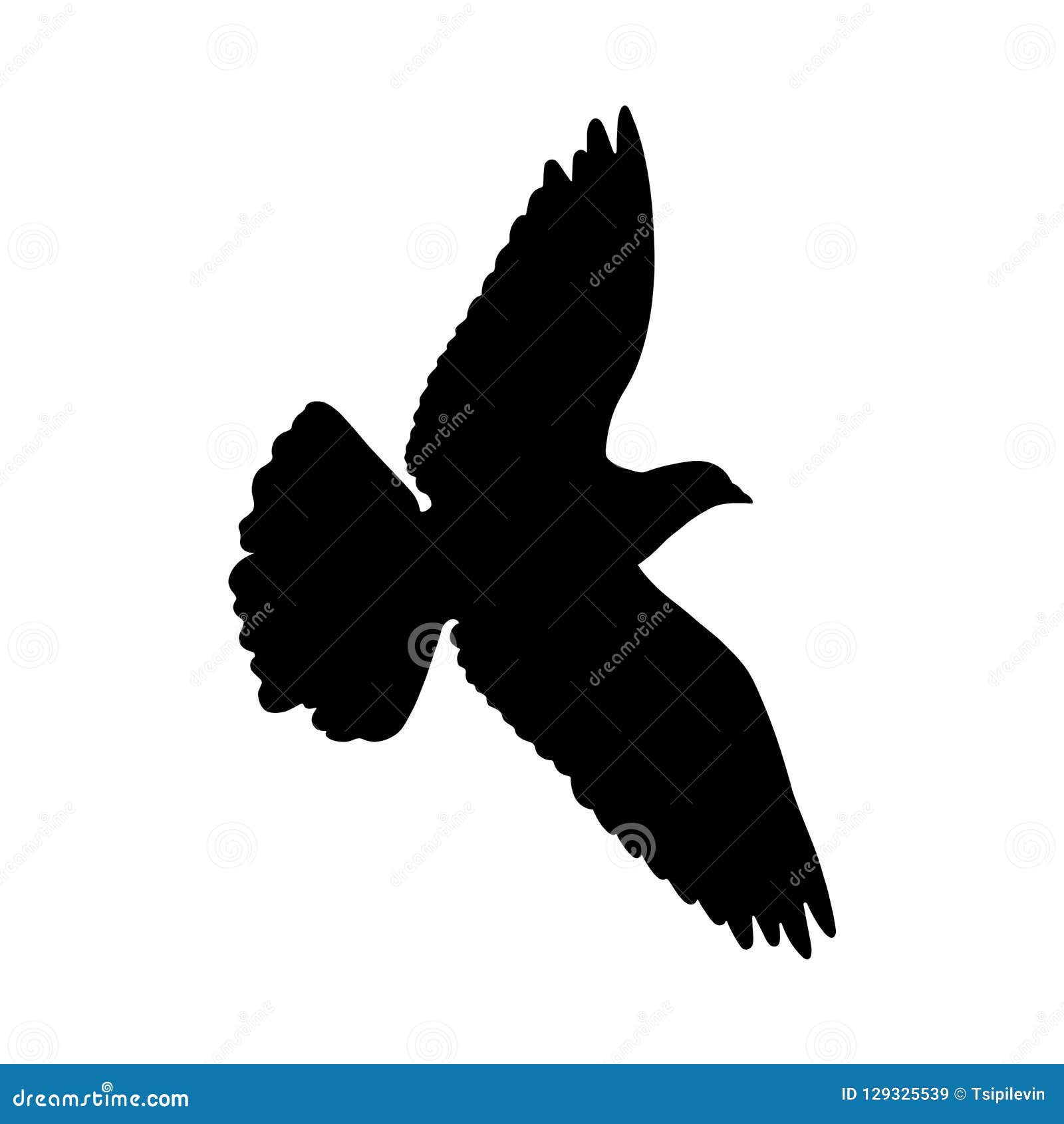 Flying Pigeon Silhouette on White Background Stock Illustration ...