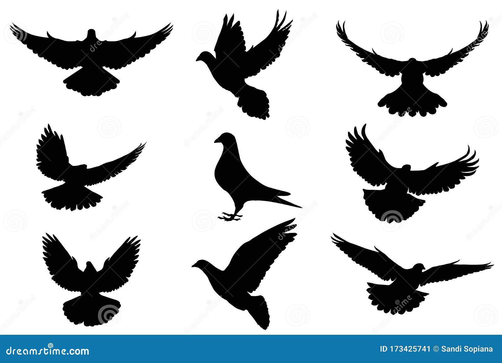 Pigeon Cartoons, Illustrations & Vector Stock Images - 53737 Pictures ...