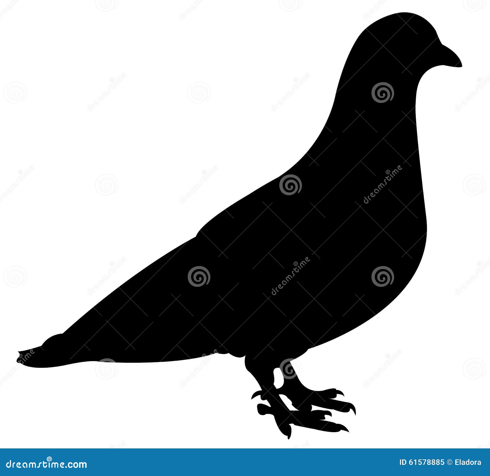 Pigeon Silhouette Vector | CartoonDealer.com #335216202