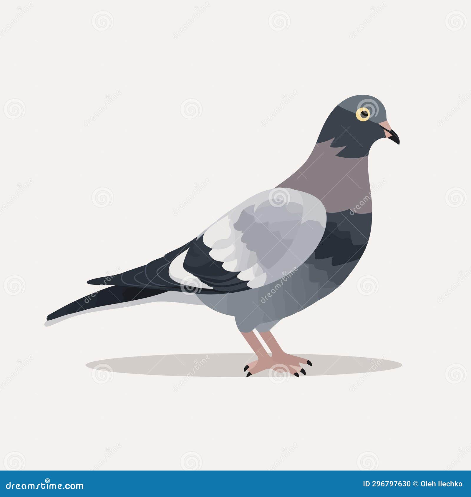 Minimalistic 2d Pigeon Icon On White Background Royalty-Free Cartoon ...