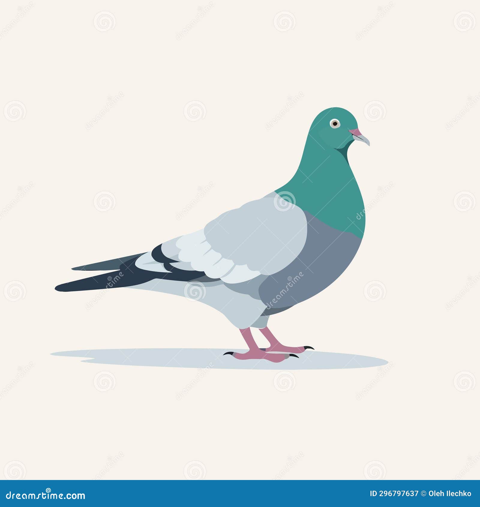 Minimalistic 2d Pigeon Icon On White Background Royalty-Free Cartoon ...