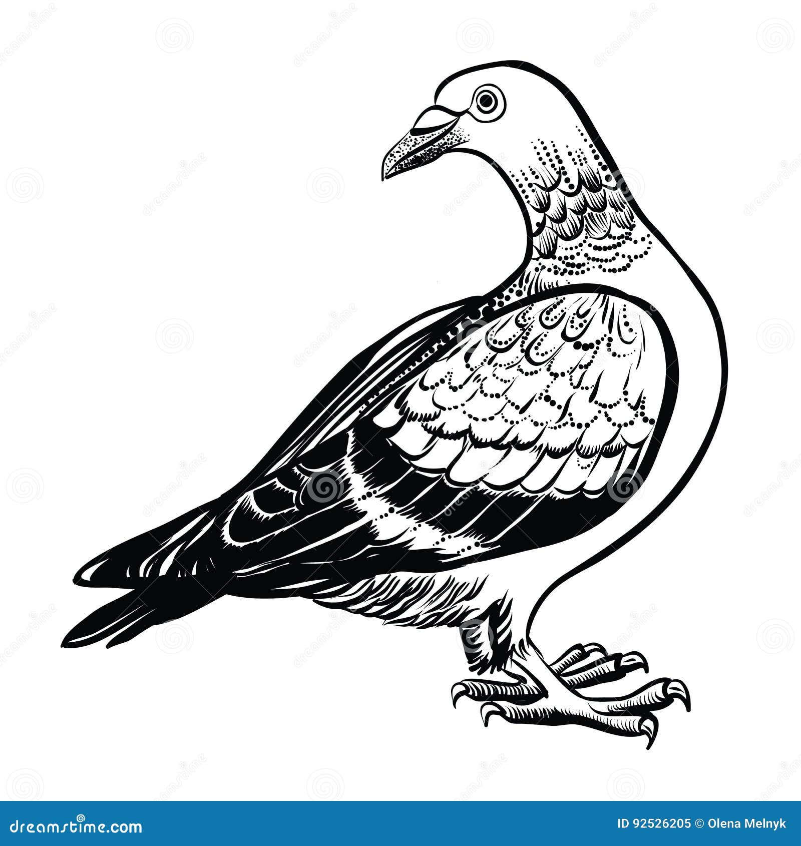 Pigeon Vector Animal Couples Love Romance Symbol | CartoonDealer.com ... Pigeon Vector Animal Couples Love Romance Symbol | CartoonDealer.com ...