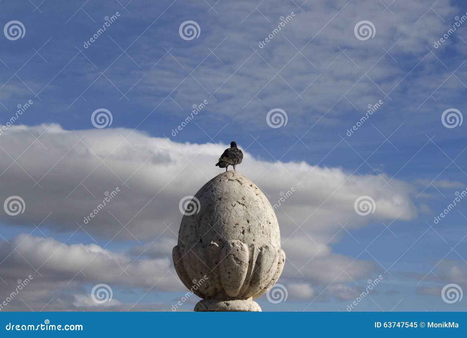 Pigeon Waiting on a Column, Lisbon Stock Image - Image of portugal ...