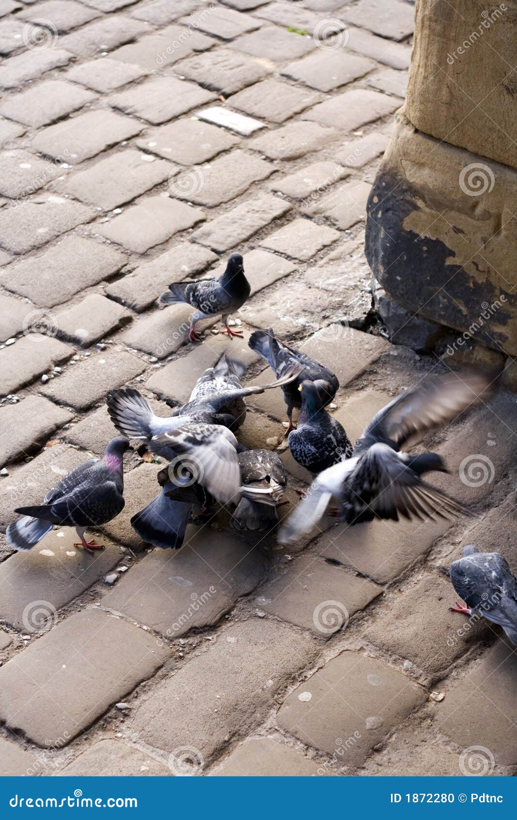 681 Cobbled Yard Stock Photos - Free & Royalty-Free Stock Photos from ...