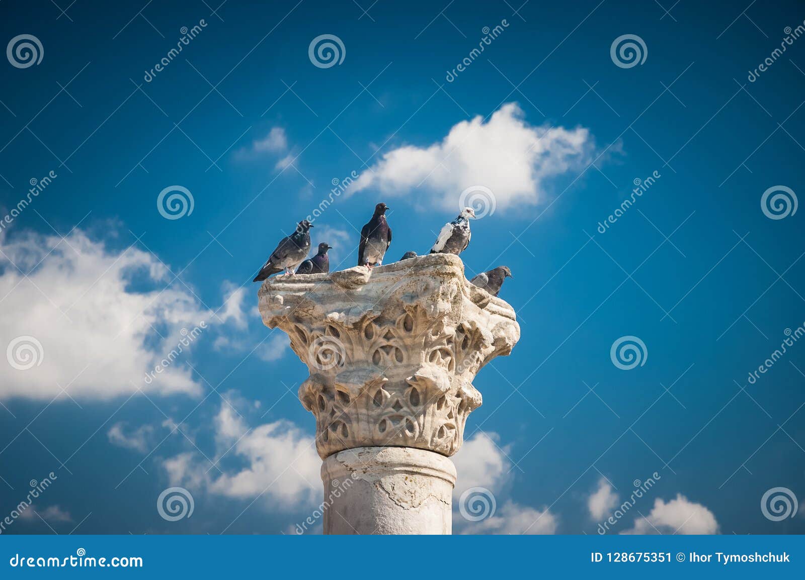 Pigeons on an Antique Column Stock Image - Image of decoration, square ...