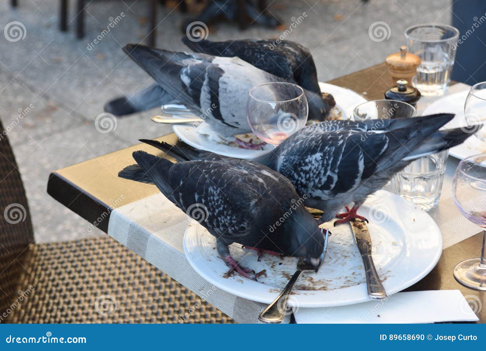 Pigeons Eating at a Restaurant Stock Photo - Image of black, food: 89658690