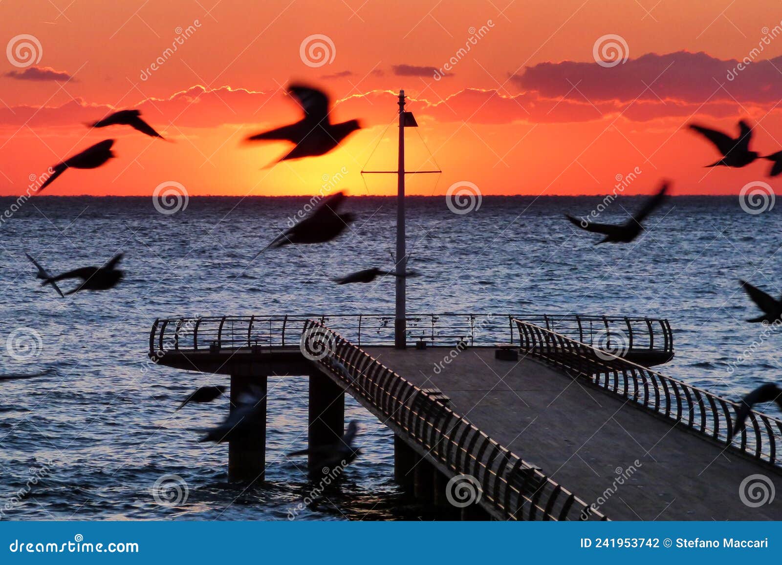 Pigeons On Jetty At Port Noarlunga Jetty With Sea In The Background ...