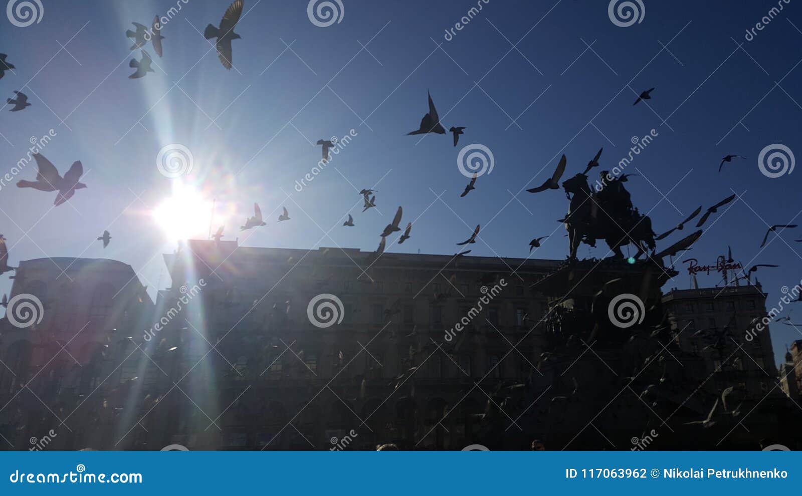 Pigeons fly stock photo. Image of square, rider, clear - 117063962