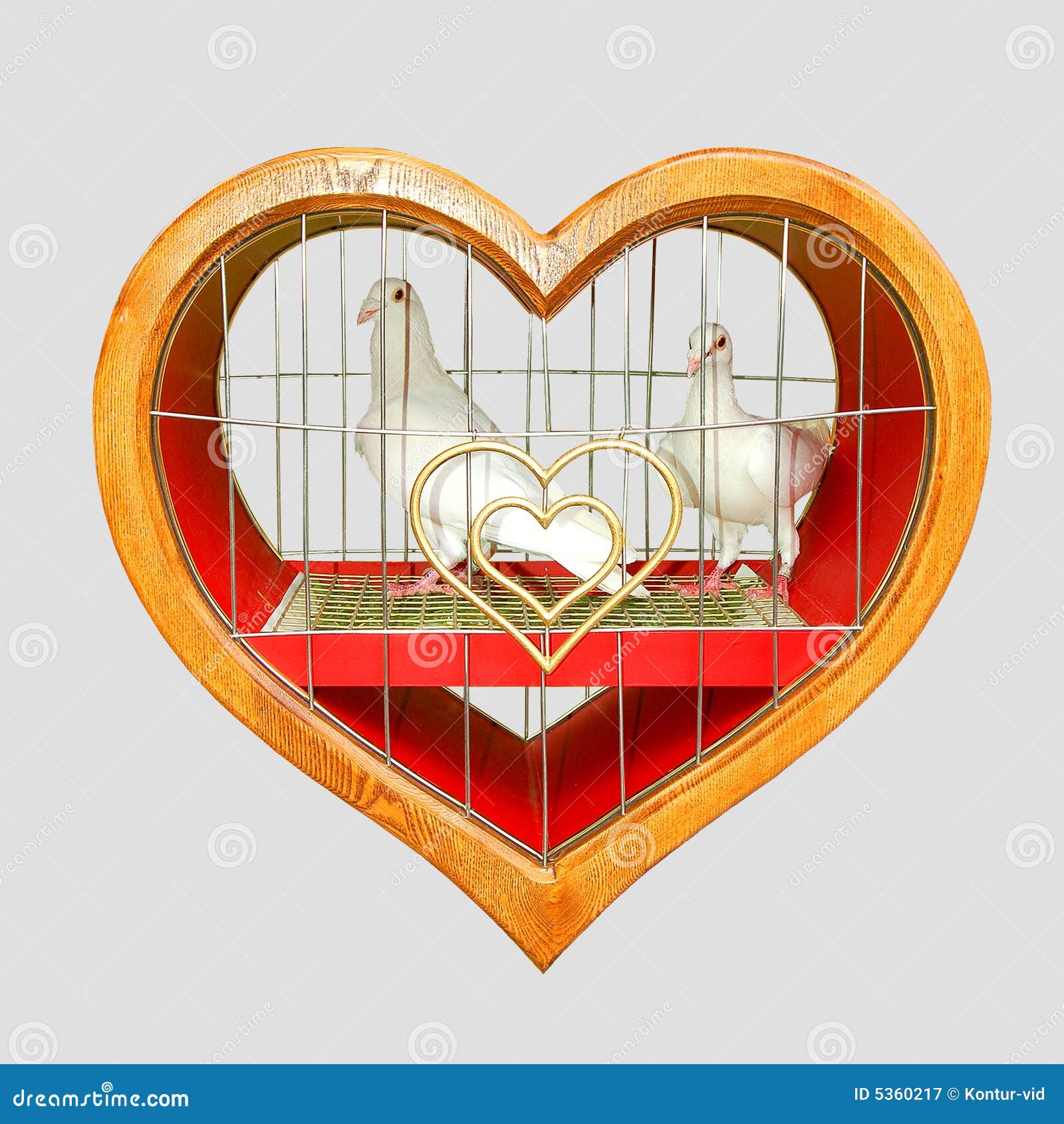 Pigeons and heart stock image. Image of culver, pair, cage - 5360217