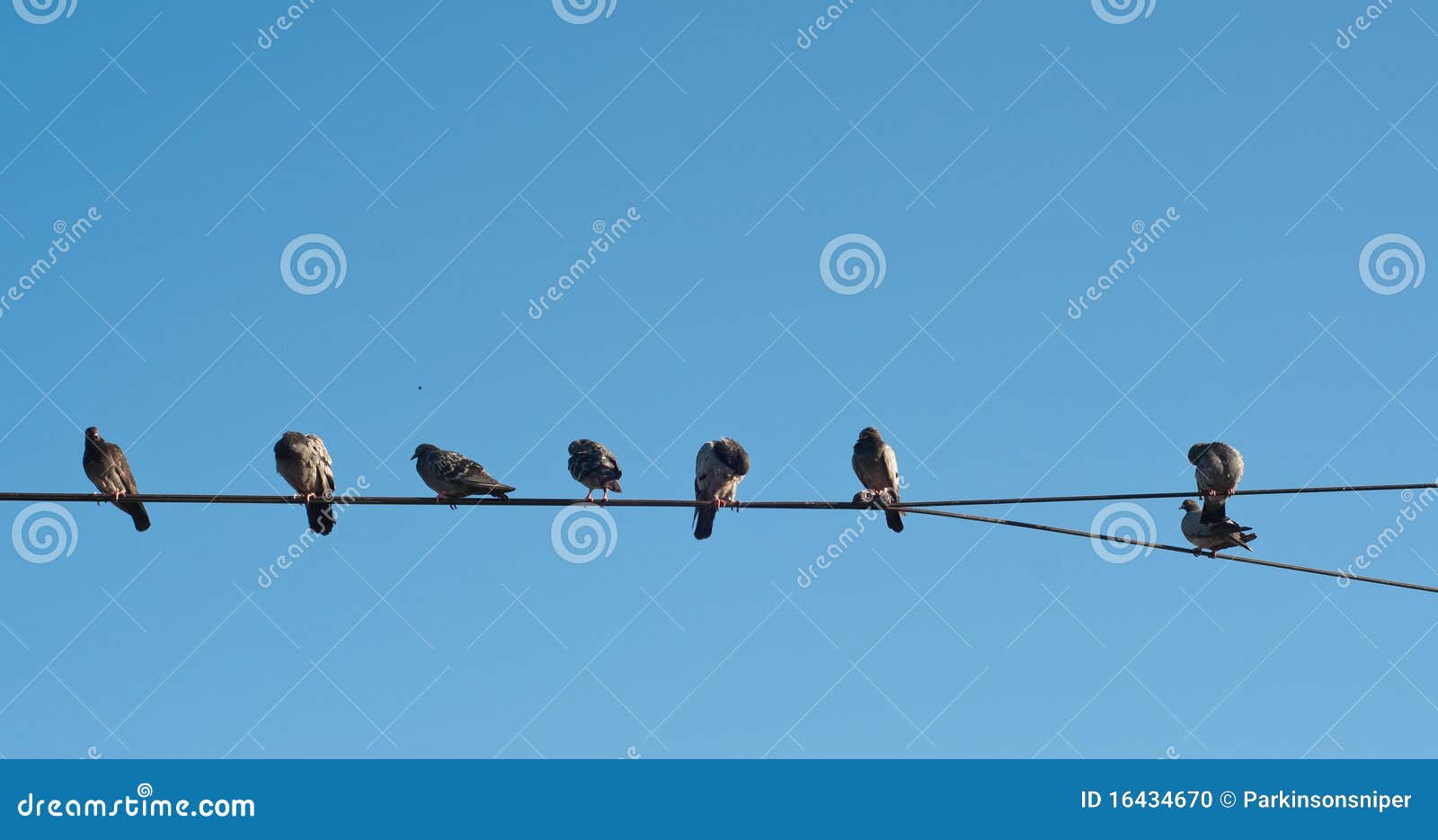 378 Sharpness Line Stock Photos - Free & Royalty-Free Stock Photos from ...