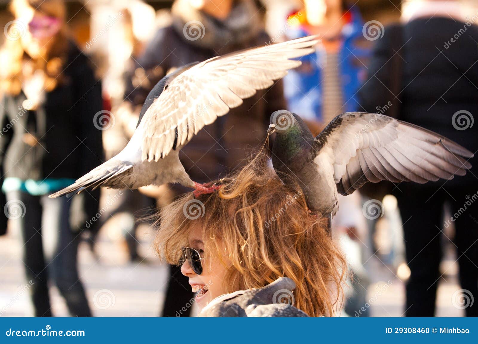Pigeons Pecking Rice on the Head of a Child Editorial Image - Image of ...