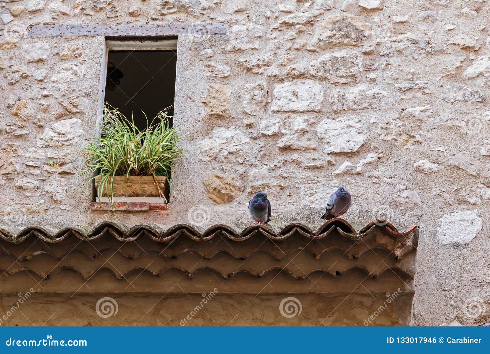 Pigeons on the roof stock photo. Image of animal, house - 133017946