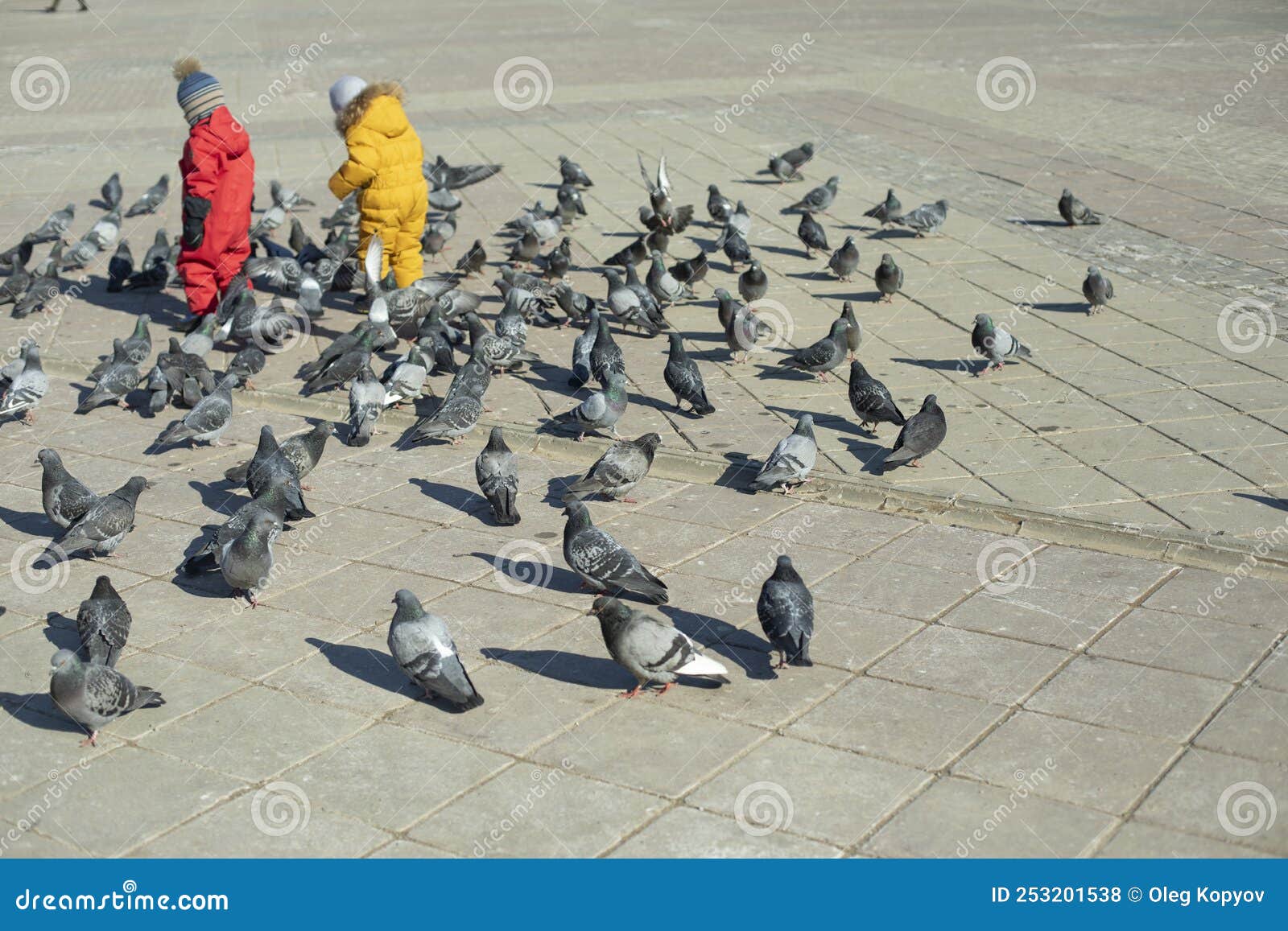 Pigeons in Square. Children Walk among Birds Stock Photo - Image of ...