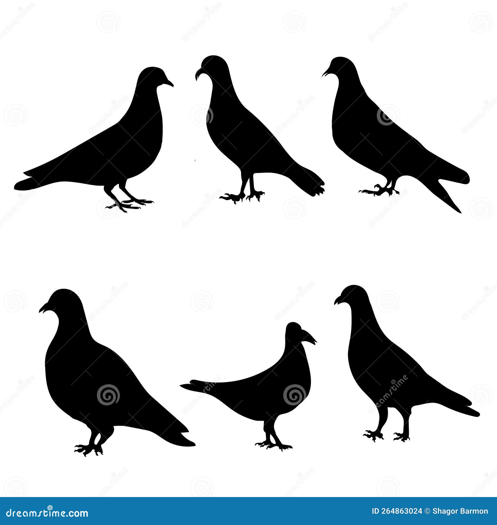 Pigeons Vector and Silhouettes Artwork Stock Vector - Illustration of ...