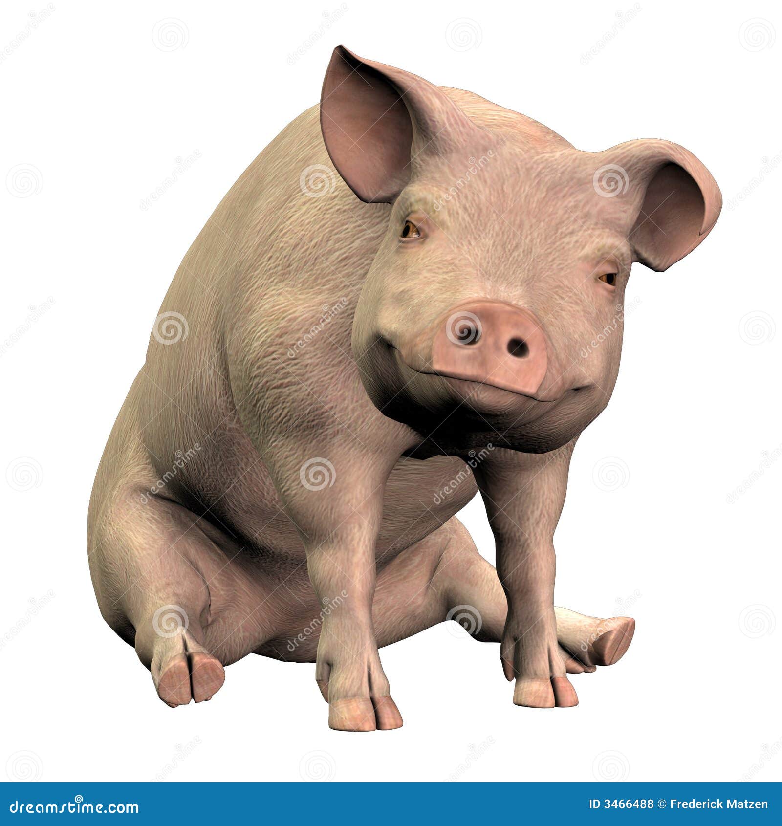 Piggie 001 stock illustration. Illustration of pork, piggy - 3466488